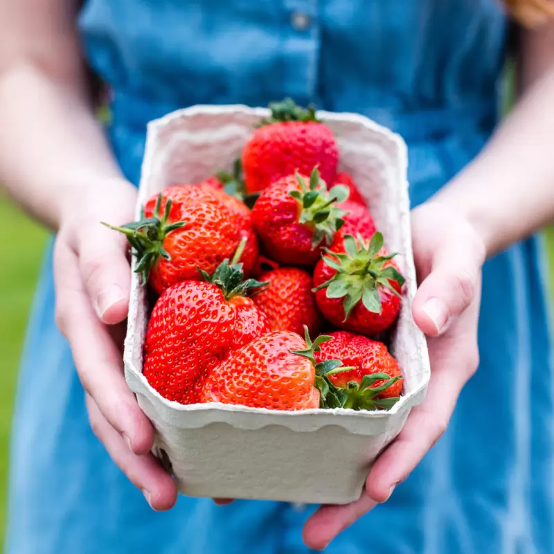 The Best Sweet and Savory Strawberry Recipes