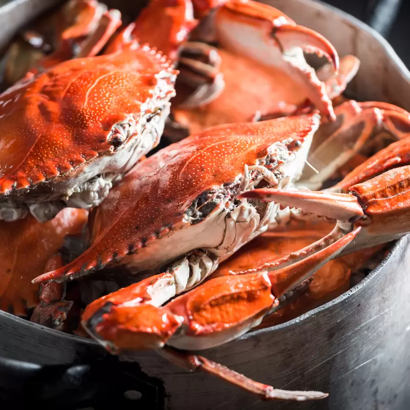 How Long Does It Take to Cook Crab? | Cooking Time & Recipes